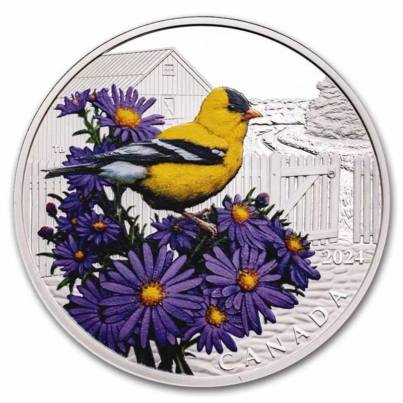 Buy 2024 Canada American Goldfinch 1 oz Silver Coin